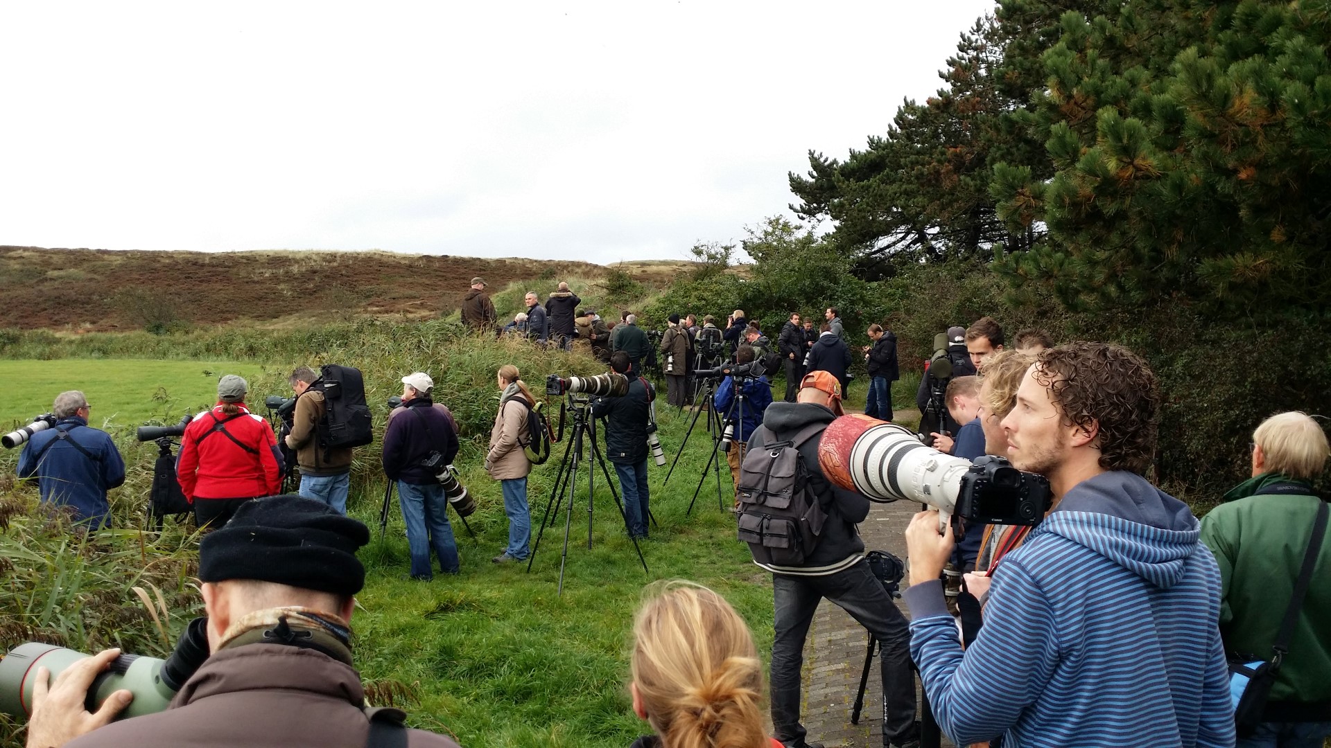 Dutch Birding Vogelweekend Texel 17-20 oktober 2025